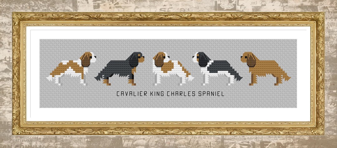 Cavalier King Charles Spaniel - Tiny Dog Breed Cross Stitch Pattern ...