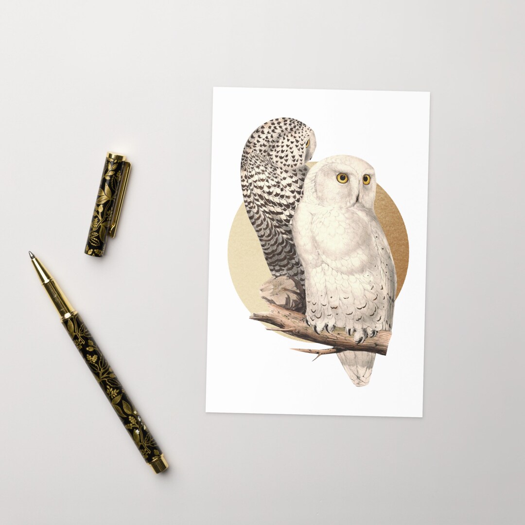 Owl Greeting Card Blank Snowy Owl Card Vintage Bird Art Bird Lover Card ...