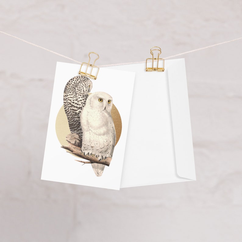 Owl Greeting Card Blank Snowy Owl Card Vintage Bird Art Bird Lover Card ...