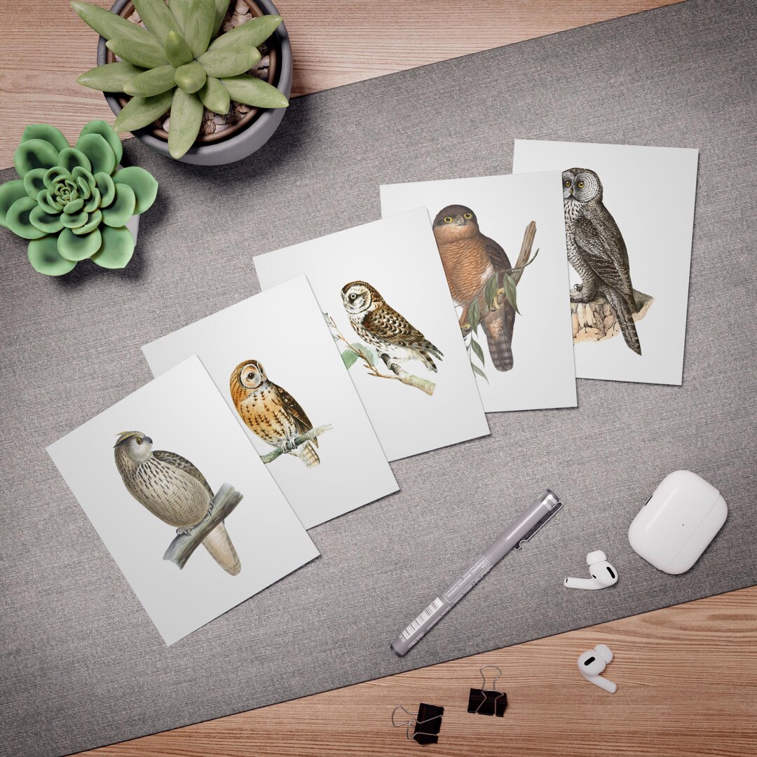 Set of 5 Vintage Owl Note Cards With Envelopes | Whimsical Blank ...