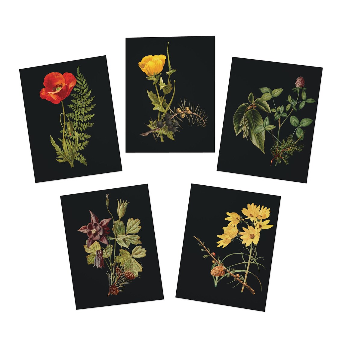 Dark Forest Flower Cards Set of 5 Fairycore Cards Witchy Things Thank ...