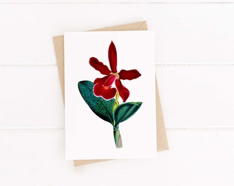 Orchid Note Cards | Etsy
