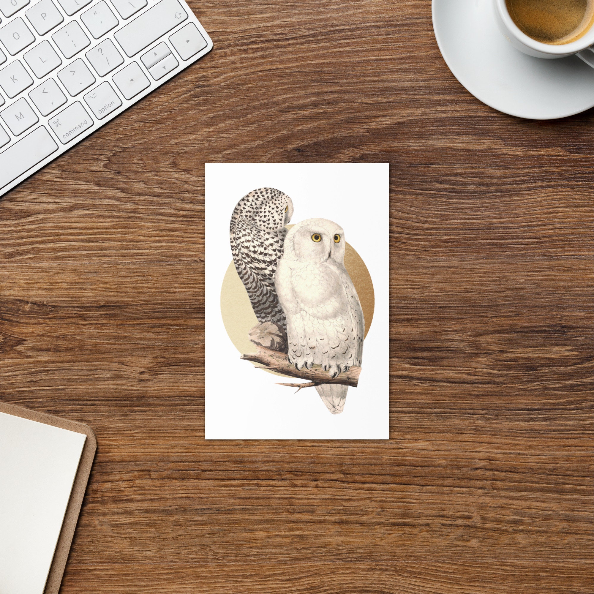 Owl Greeting Card Blank Snowy Owl Card Vintage Bird Art Bird Lover Card ...