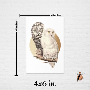 Owl Greeting Card Blank Snowy Owl Card Vintage Bird Art Bird Lover Card ...