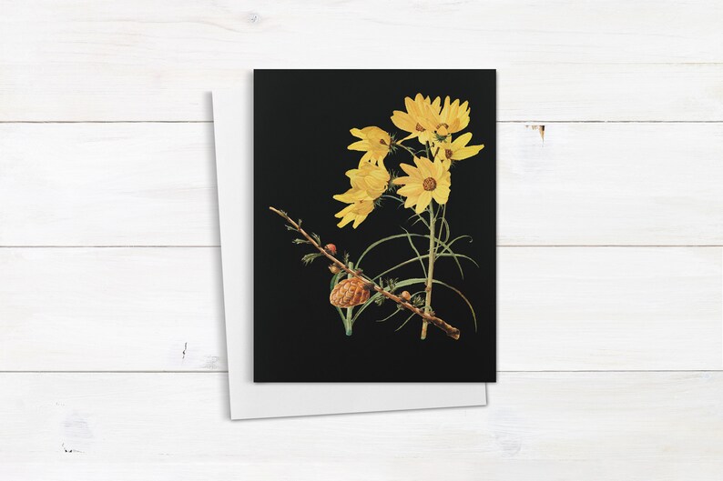 Dark Forest Flower Cards Set of 5 Fairycore Cards Witchy Things Thank ...