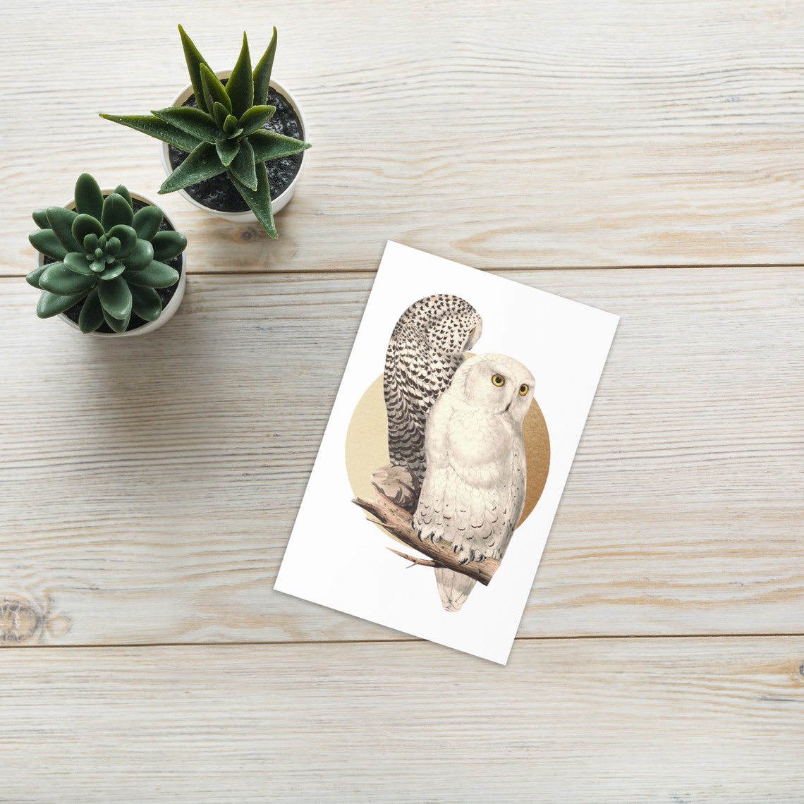 Owl Greeting Card Blank Snowy Owl Card Vintage Bird Art Bird Lover Card ...