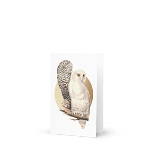 Owl Greeting Card Blank Snowy Owl Card Vintage Bird Art Bird Lover Card ...