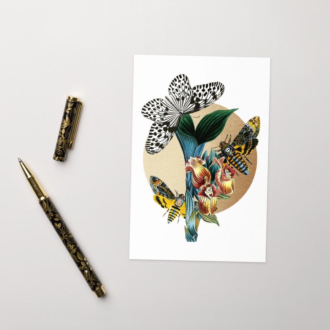 Moth Greeting Card Blank Death's Head Moth Card Vintage Bird Art Bird ...