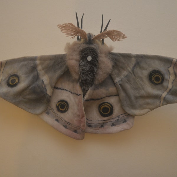 Moth Sculpture - Etsy