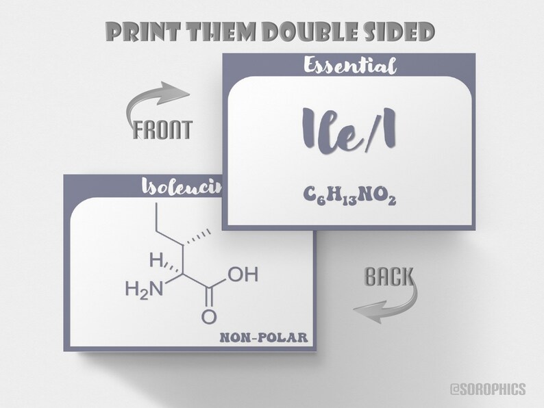Organic Chemistry Flashcards, Printable Chemistry Flashcards, Amino ...