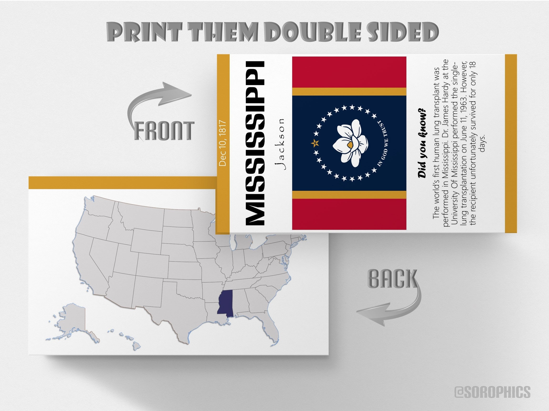 United States Flashcards, Fifty States of America Cards, Printable Map ...