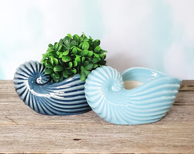 Seashell Planter | Ceramic Shell Low Pot | Light Blue or Dark Blue ...