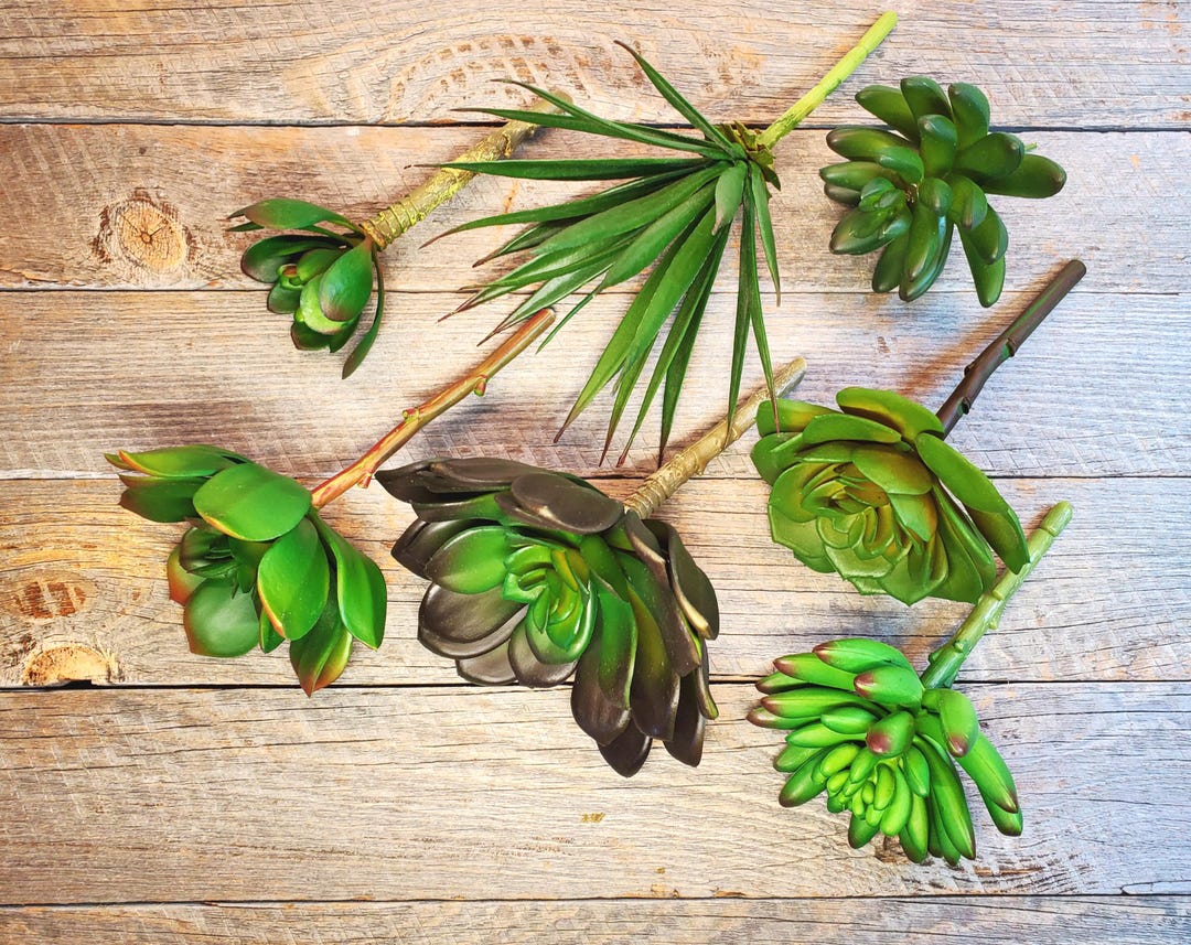 7 Piece Succulent Stems Collection | Deep Green and Black Succulent ...