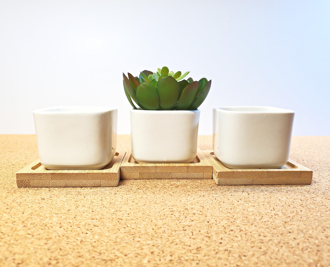 Tiny 2" Square Pots | Set of 3 White Mini Planters | Ceramic Pots With ...