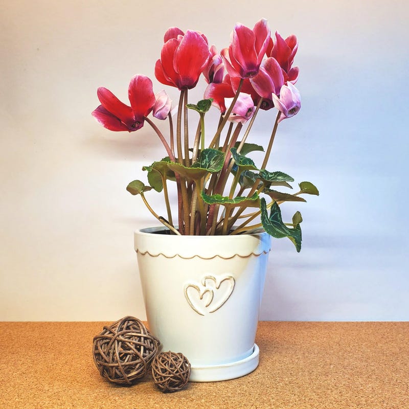 Heart Flower Pot - Etsy