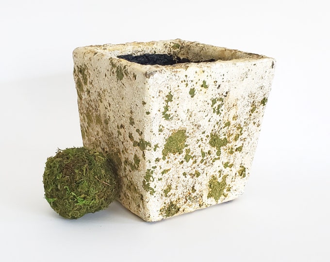 Weathered Square Concrete Pot | Distressed Rustic Stone Planter | Mossy ...