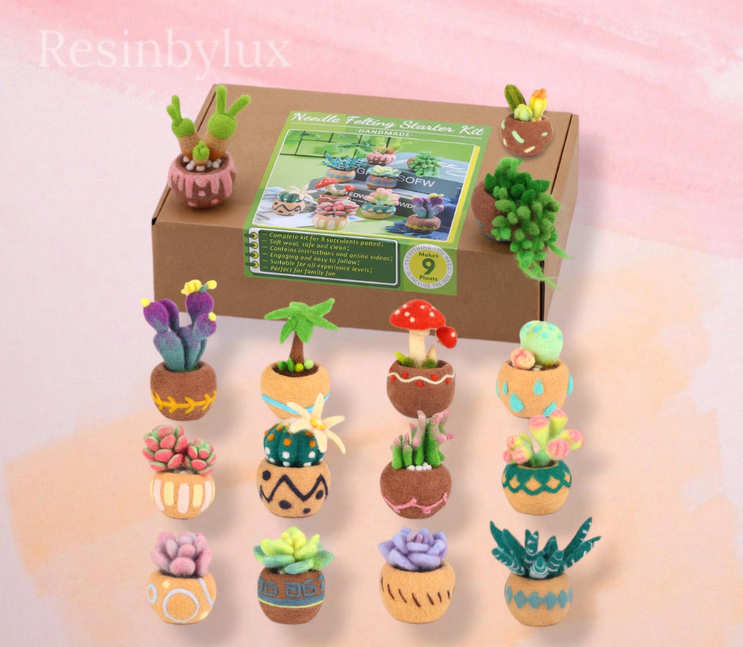 Succulent Potted Plants Felting Kit | Wool Felting Kit | Full Crafting ...