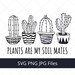 Plants Are My Soil Mates Criciut SVG PNG JPG Digital Downloads - Plant ...