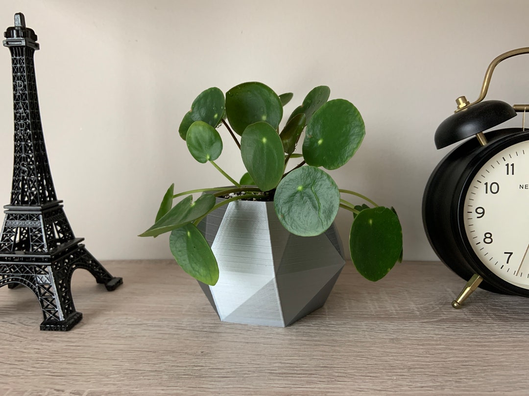 3D Printed Geometric Pot - Etsy