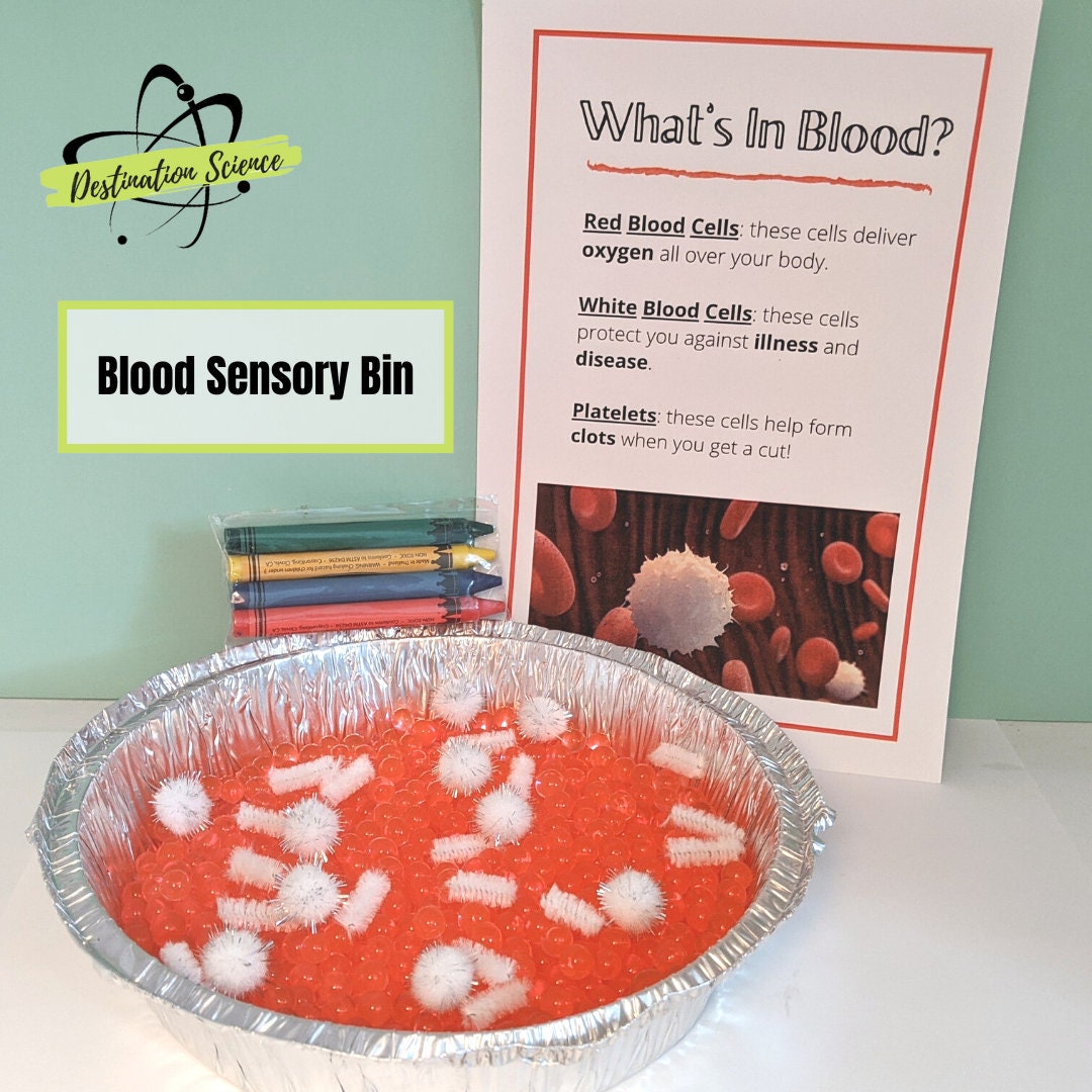 STEM Blood Sensory Bin Activity Introduction to Biology Grades K-3 ...