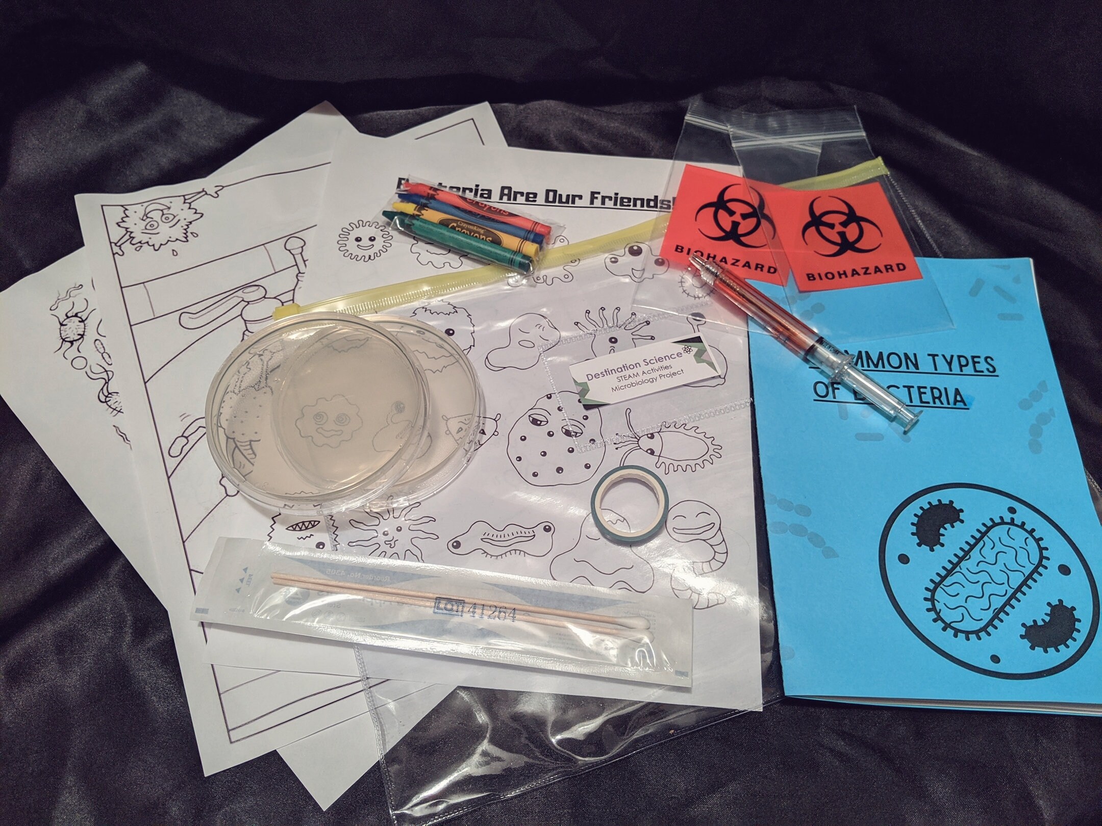 STEM Grow Your Own Bacteria Introduction to Microbiology | Etsy