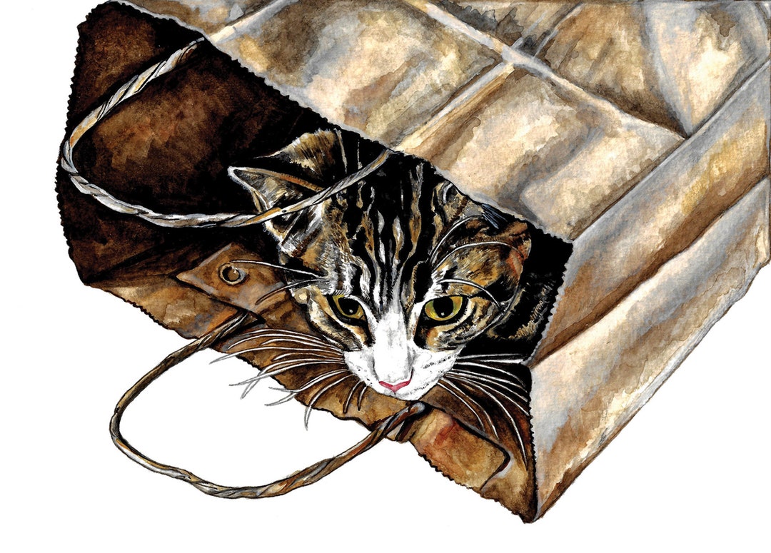 Cat Card, Kitten Card, Cat Birthday Card, Cat Lovers Card, Cat Greeting ...