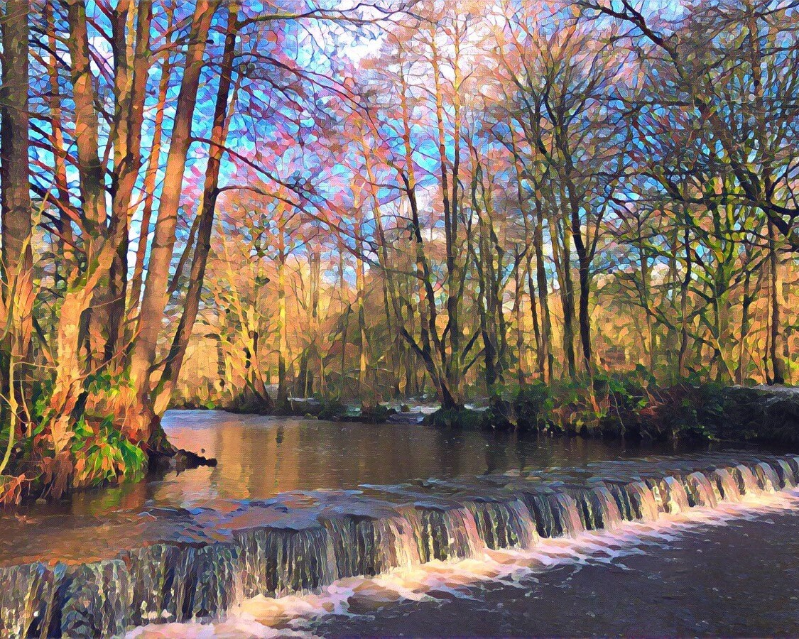 Bradshaw Brook Fisheries Bolton River Weir Trees Countryside Walk ...