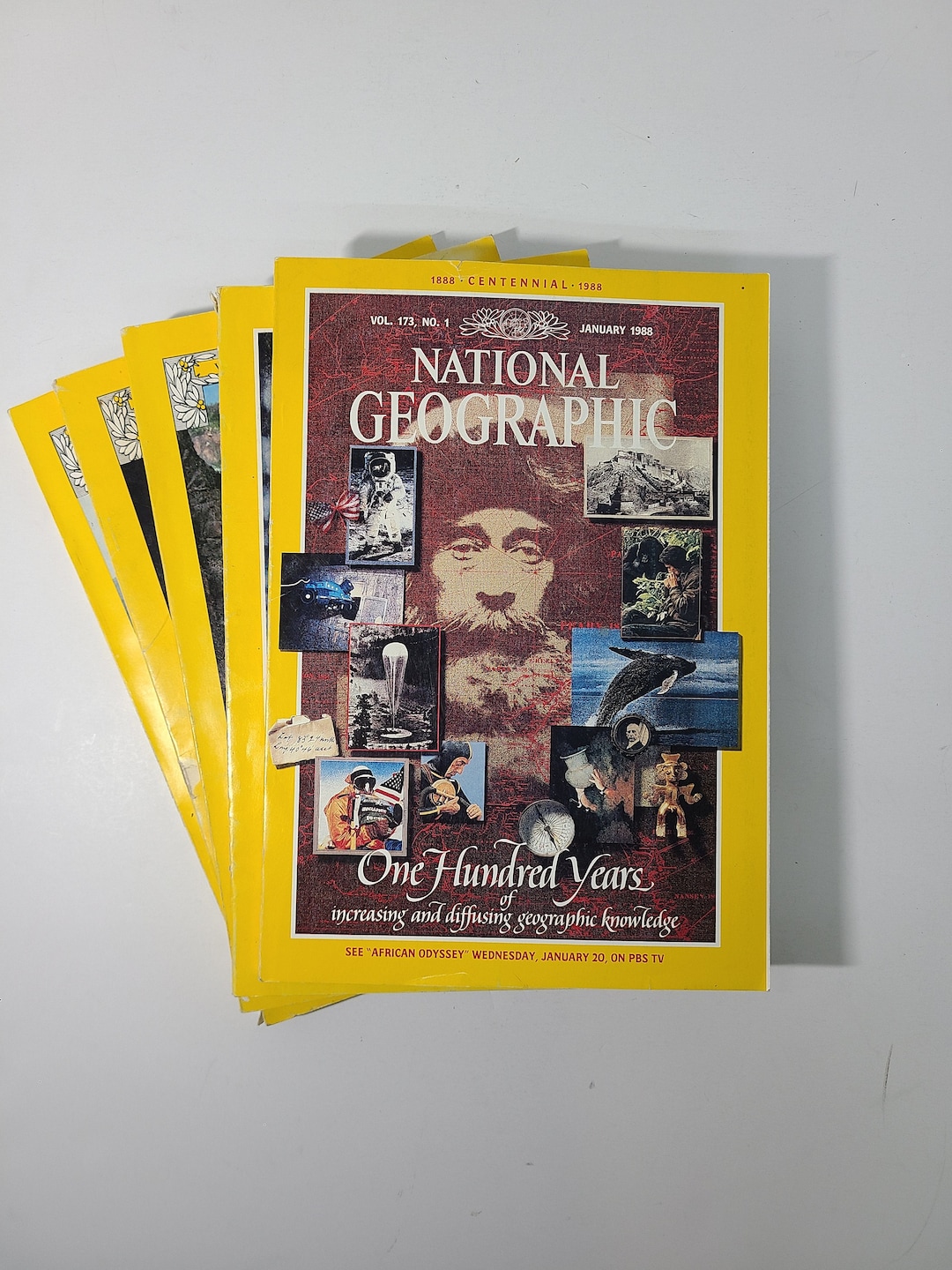 1970's & 1980's National Geographic Magazines. Assorted Issues of ...