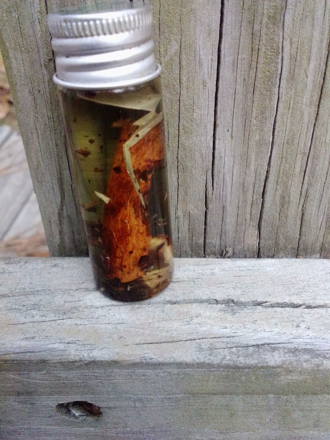 Money is Coming! (money Attraction Oil) - Etsy