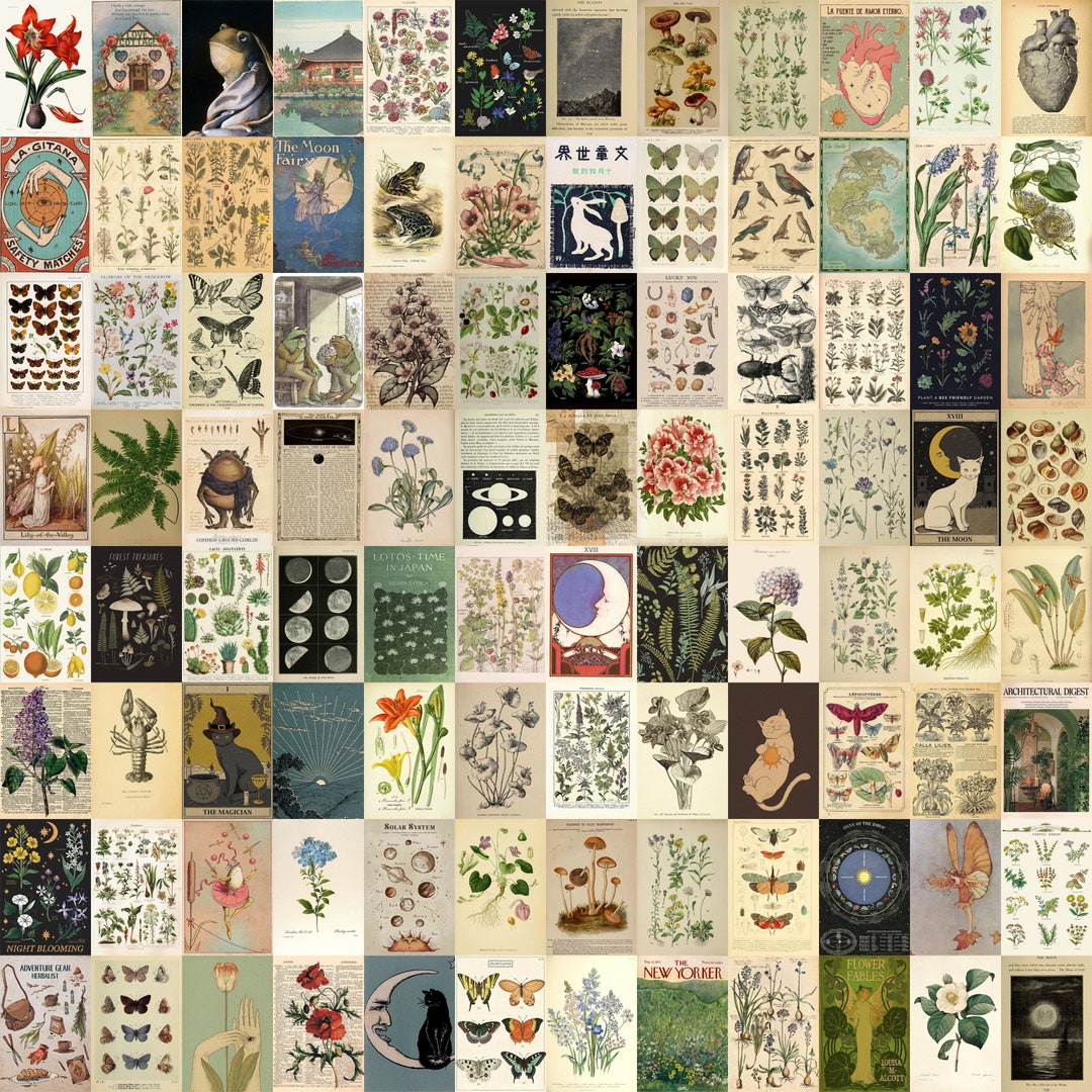 Cottagecore Aesthetic Room Decor, Vintage Botanical Prints, Vintage ...