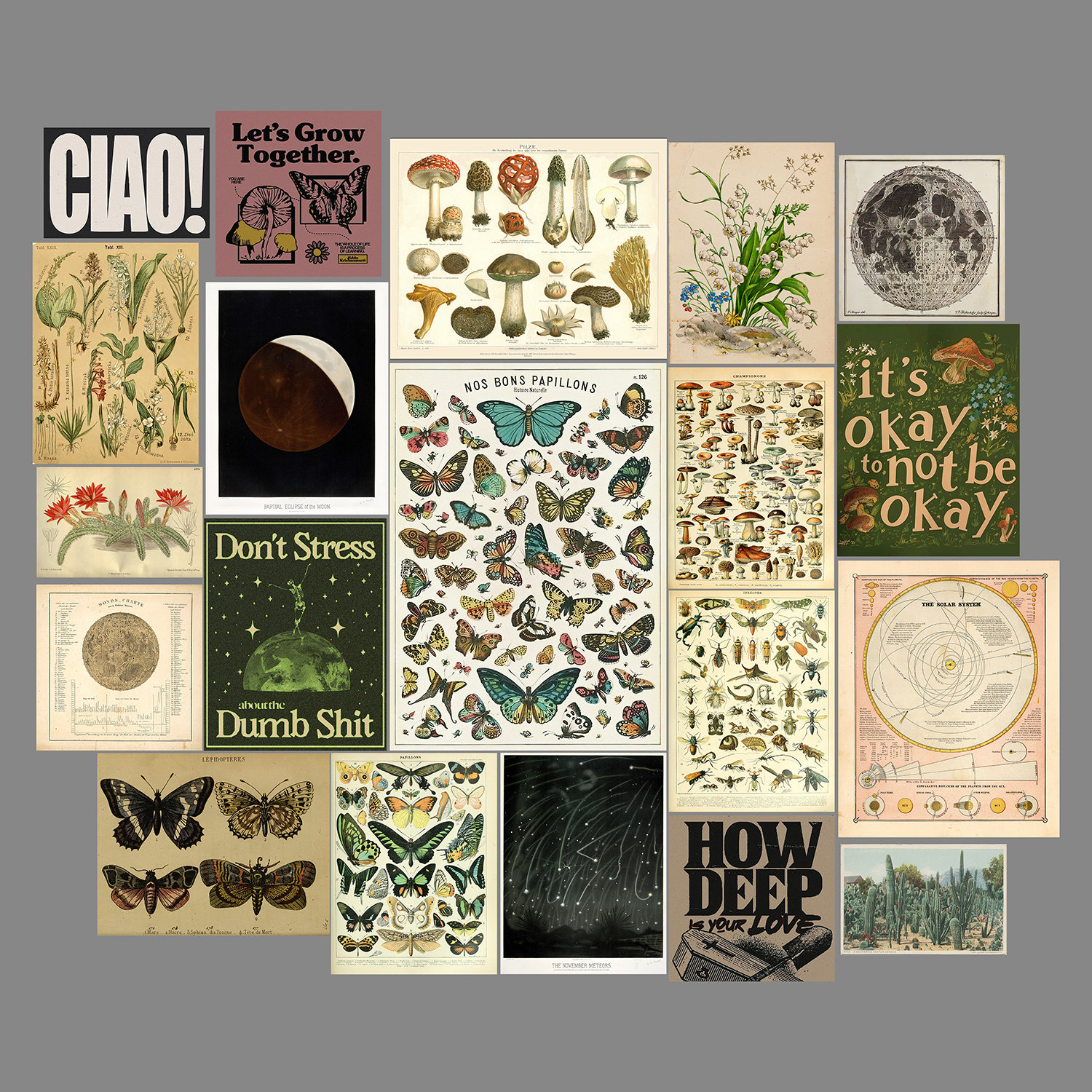 Fairycore Wall Collage Kit: Botanical Vintage Prints (digital Download ...