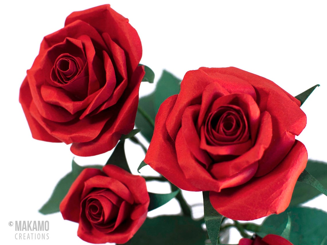 3D Paper Rose Svg Rose Template for Cricut Paper Flower - Etsy