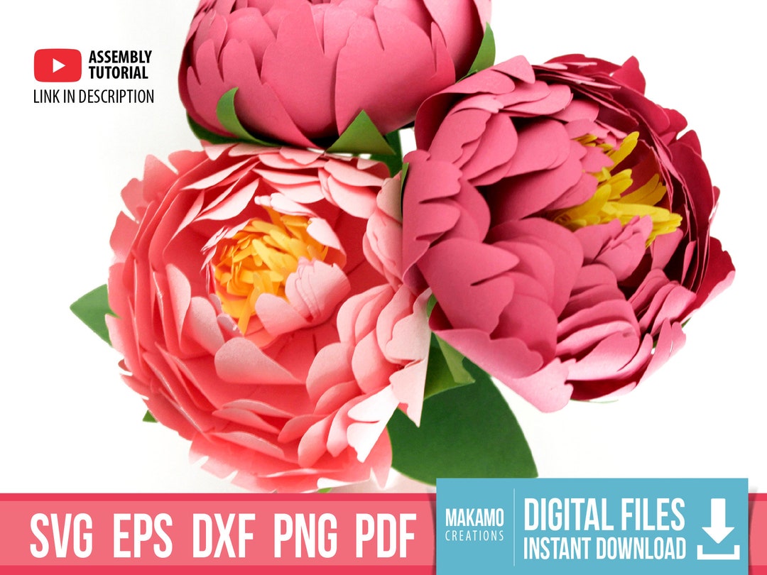 3D Paper Peony Template: DIY Wedding Flower Bouquet (SVG, PDF) - Etsy