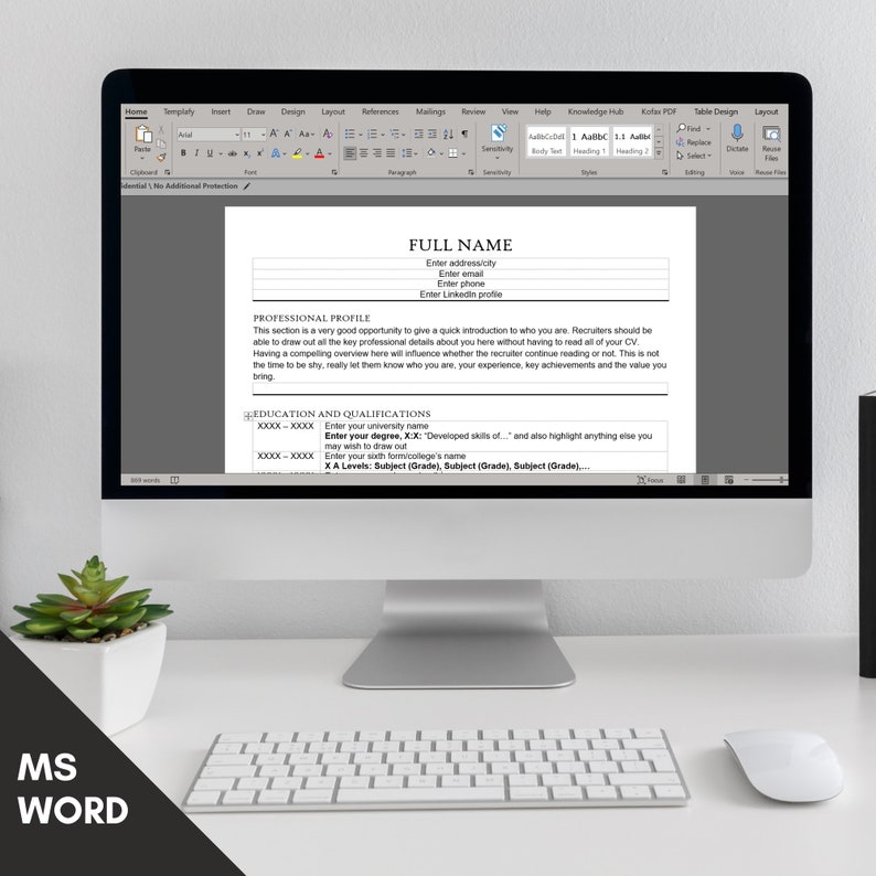 CV TEMPLATE Resume Word Big 4 SUCCESSFUL Example | Professional ...