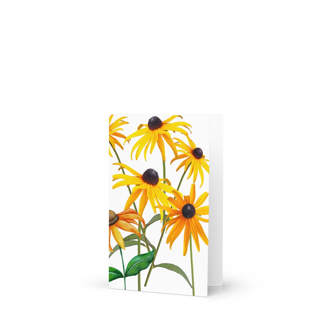 Black Eyed Susan // Greeting Card - Etsy