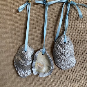 Oyster Shell Ornament | Hand Painted Gold or Silver Shell + Trim ...