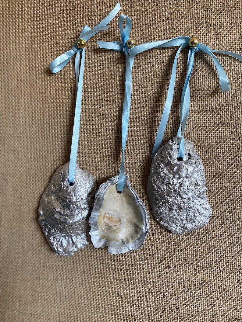 Oyster Shell Ornament | Hand Painted Gold or Silver Shell + Trim ...
