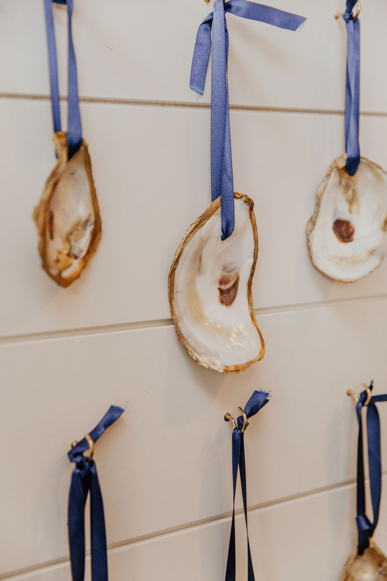 Oyster Shell Ornament | Hand Painted Gold or Silver Shell + Trim ...