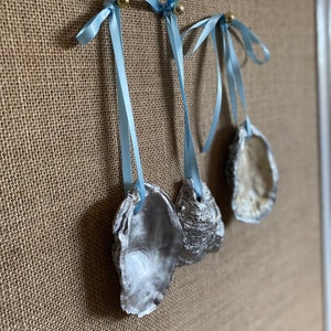 Oyster Shell Ornament | Hand Painted Gold or Silver Shell + Trim ...
