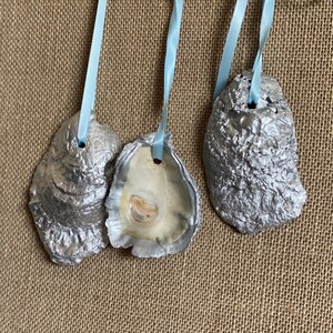Oyster Shell Ornament | Hand Painted Gold or Silver Shell + Trim ...