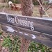 Outdoor Signs Wooden Signs Pathway Signs Rustic Wooden - Etsy
