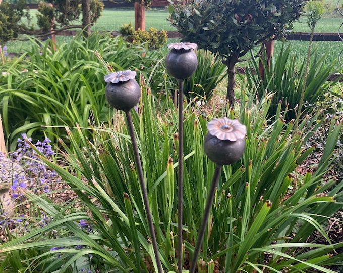 Set of 3 Rusty Poppy Seed Head Pattern Naturally Rusting Ornamental ...