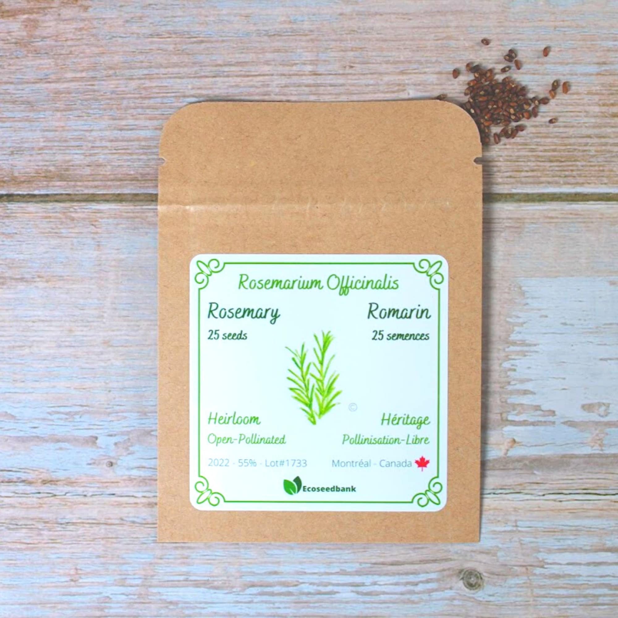 Rosemary Seeds Culinary Herb Heirloom Open-pollinated | Etsy Canada