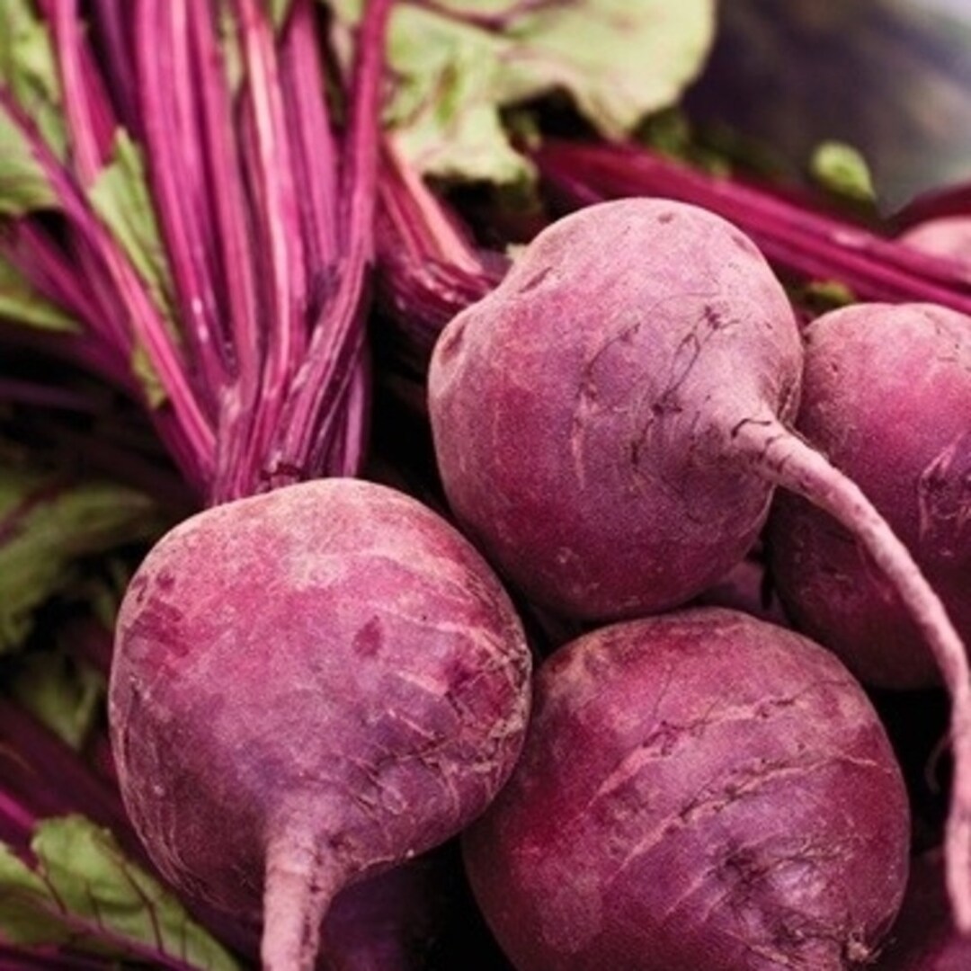 Ruby Queen Beet Seeds - Open-pollinated for Seed Saving - Non-hybrid ...