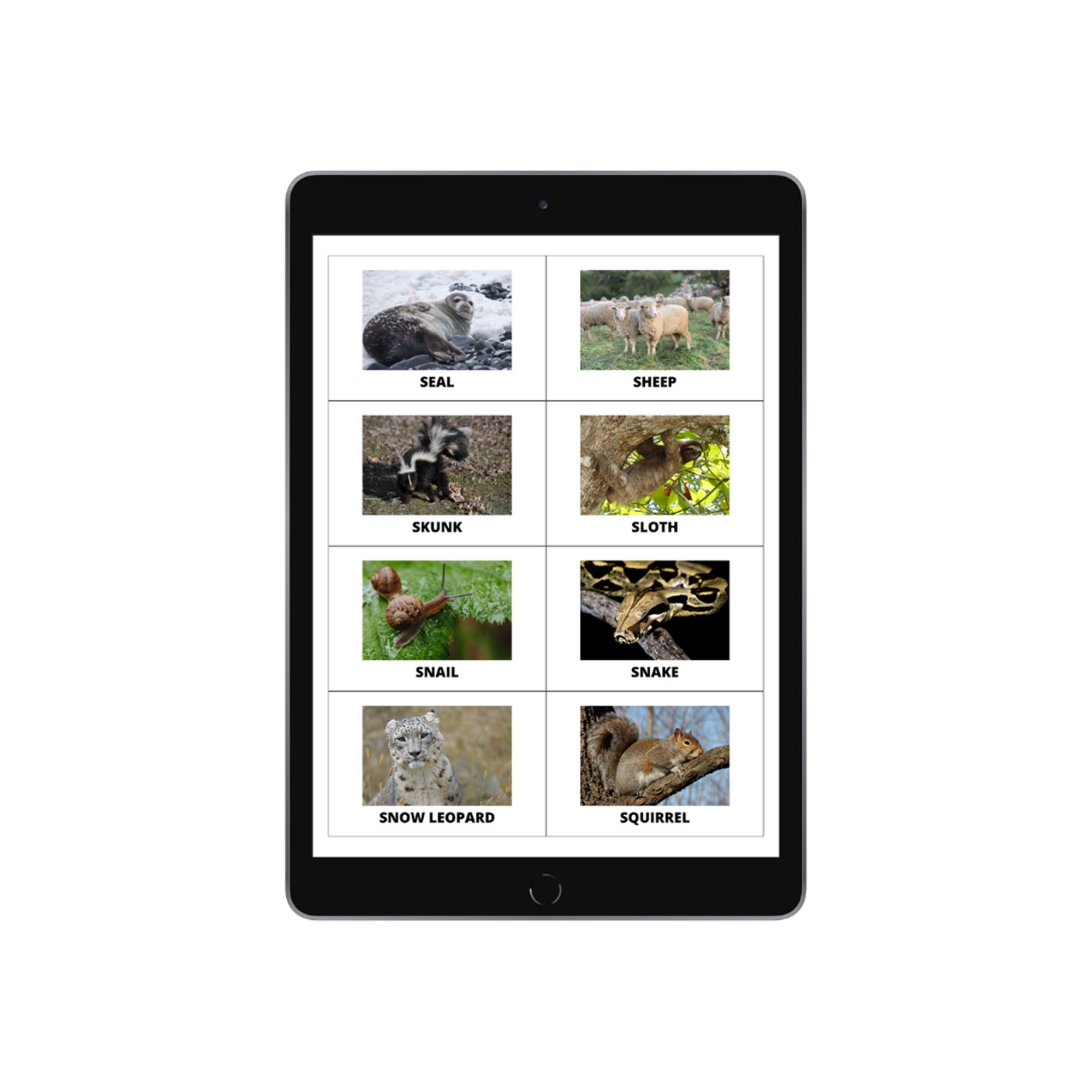 Animal Name Printable Flashcards English Vocabulary - Etsy