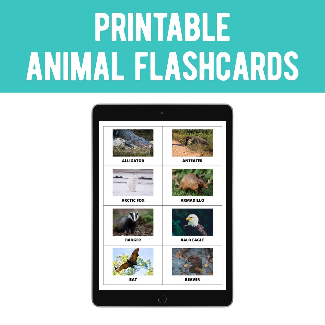 Animal Name Printable Flashcards English Vocabulary - Etsy