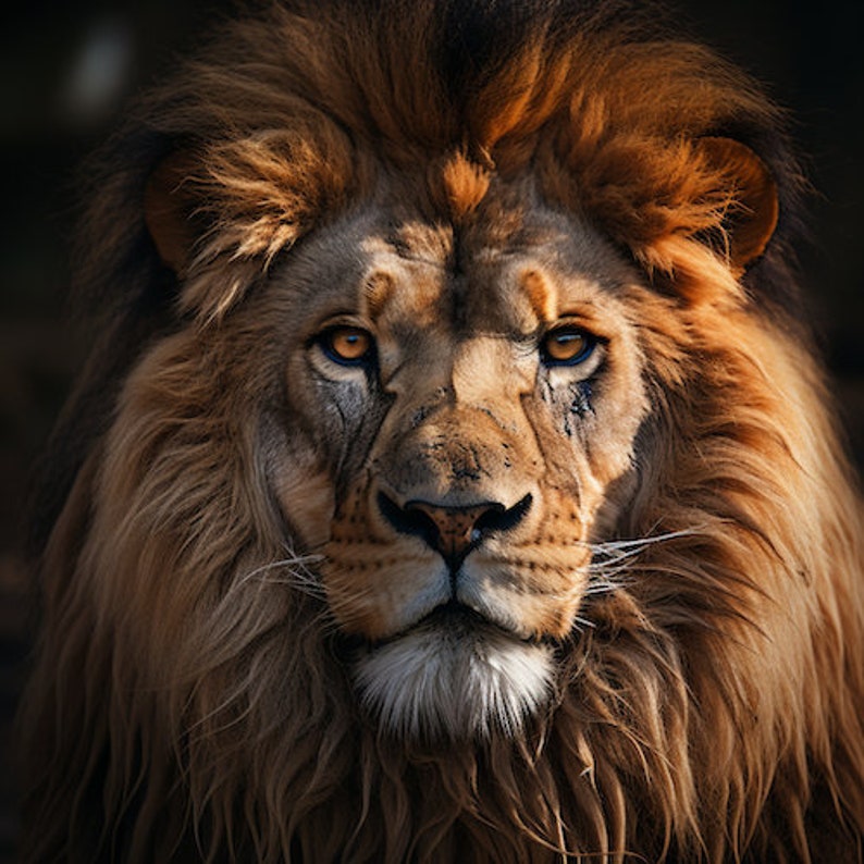 Digital Lion File - Etsy