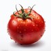 2 Digital Tomato Illustrations - Etsy