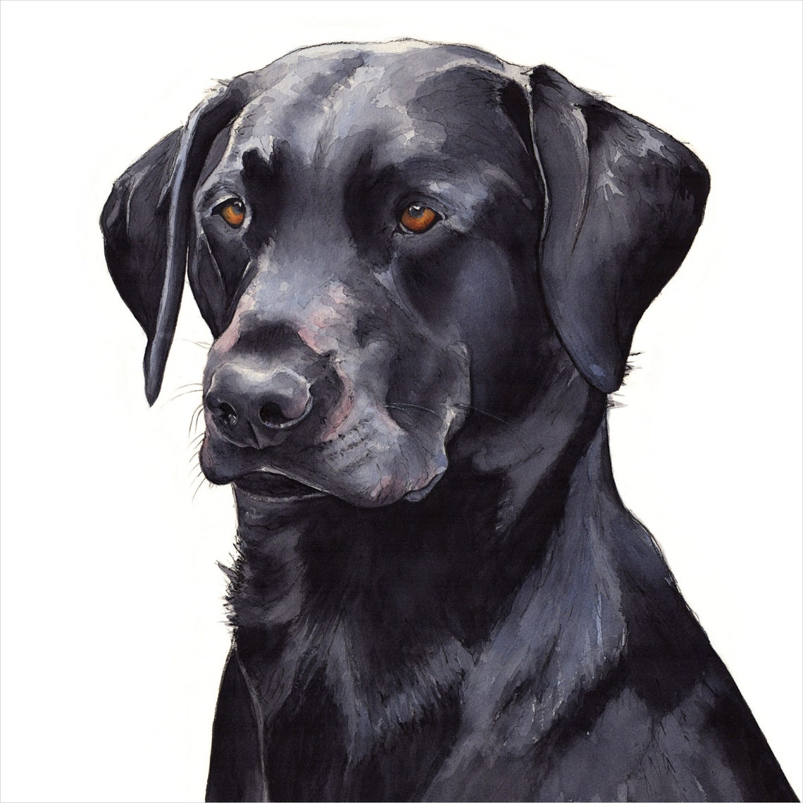 Black Labrador Fine Art Giclée Print, Wall Art, Nursery Art, Dog Print ...