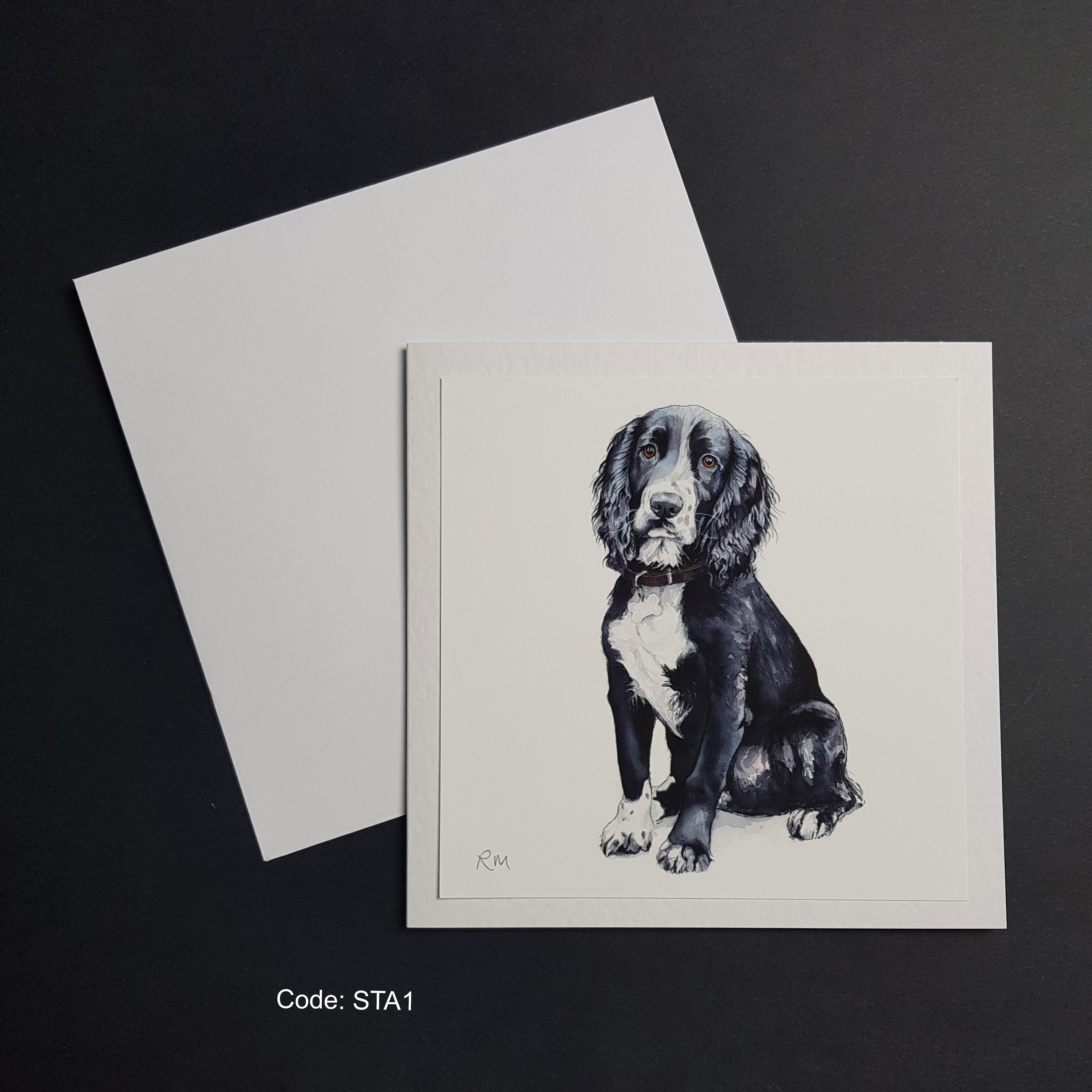 Black and White Spaniel - 6x6in Square Greetings Card. Hammered 300gm ...